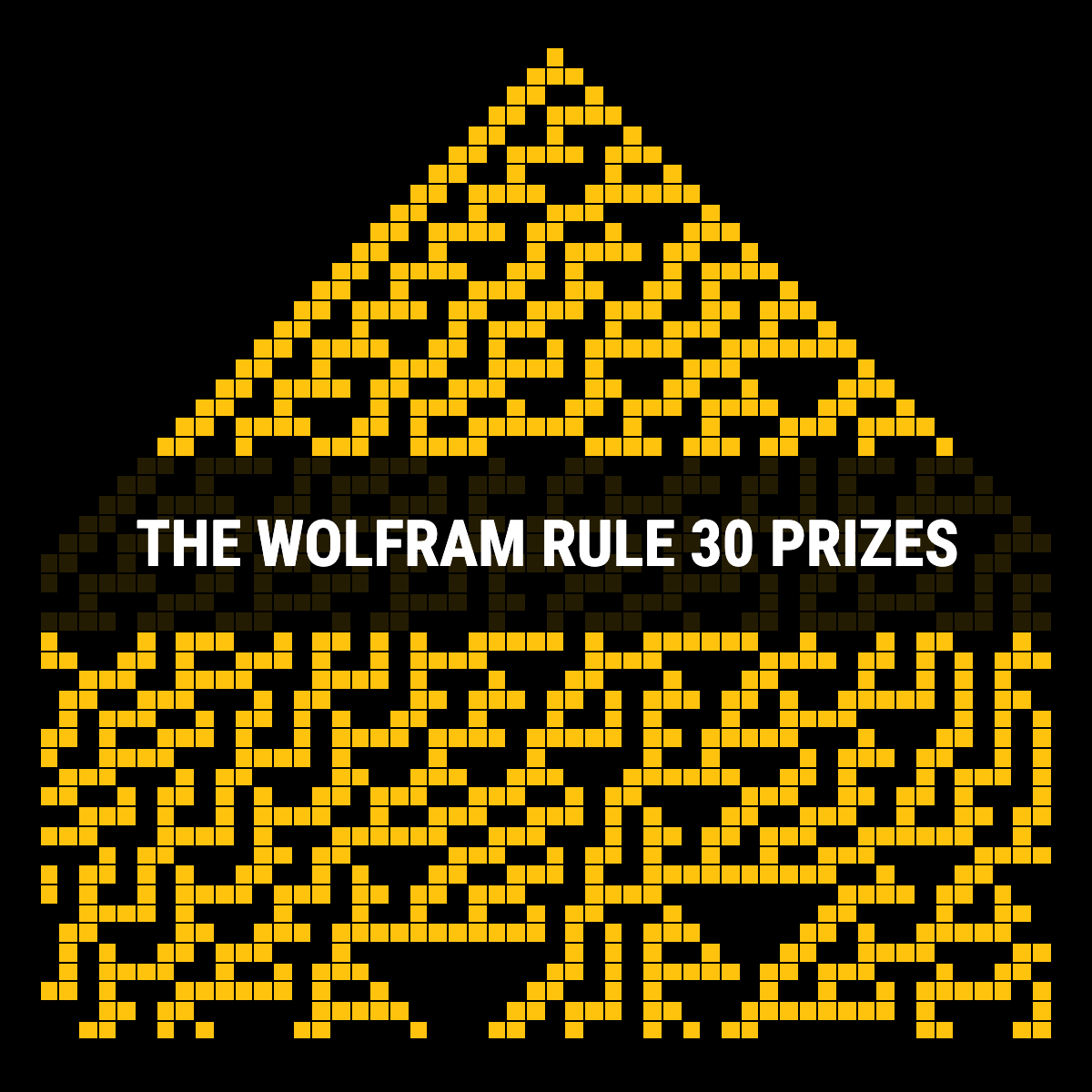Wolfram Rule 30 Prizes